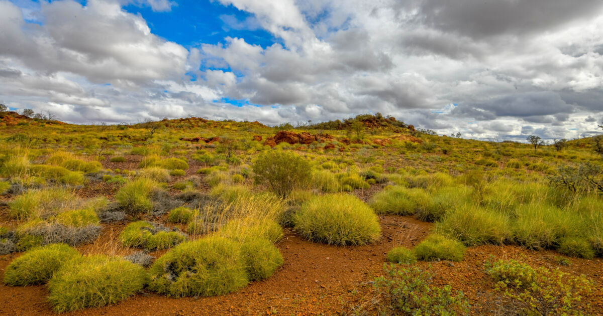 Home - Ngarlawangga Aboriginal Corporation